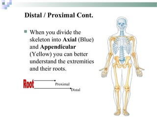 Introduction to Anatomy | PPT
