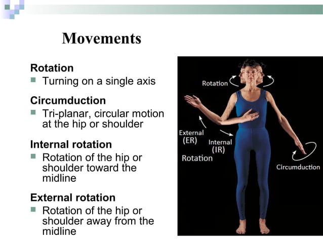 Introduction to Anatomy | PPT