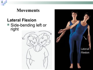 Introduction to Anatomy | PPT