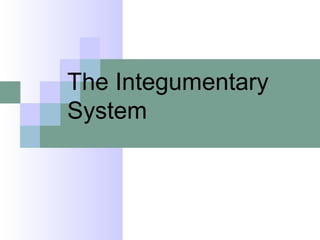 Introduction to Anatomy | PPT