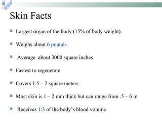 Introduction to Anatomy | PPT