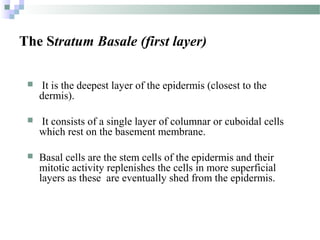 Introduction to Anatomy | PPT