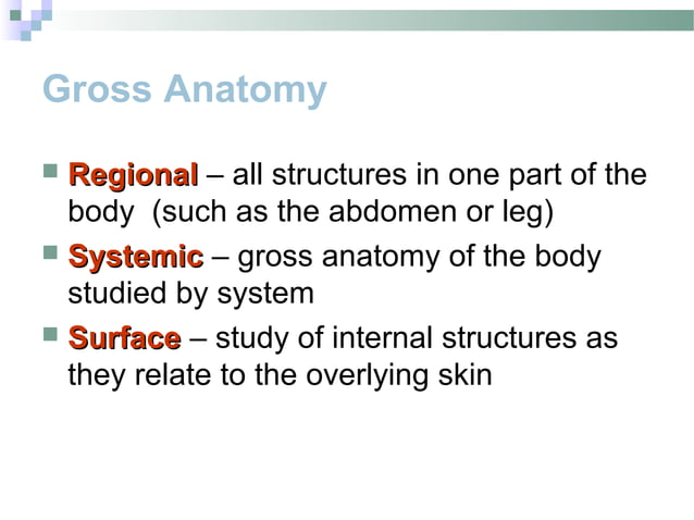Introduction to Anatomy | PPT