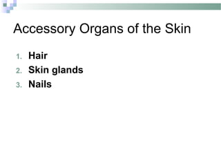 Introduction to Anatomy | PPT