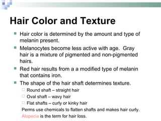 Introduction to Anatomy | PPT