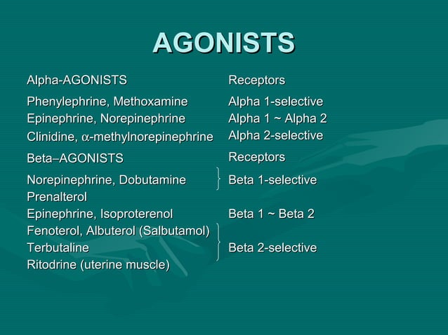Dr. baltazar s adrenergic agonists | PPT | Endocrine and Metabolic ...
