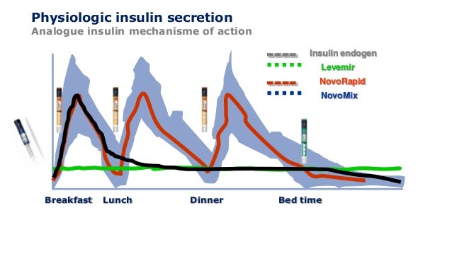 Insulin Initiation : When We should Start with Basal Insulin?