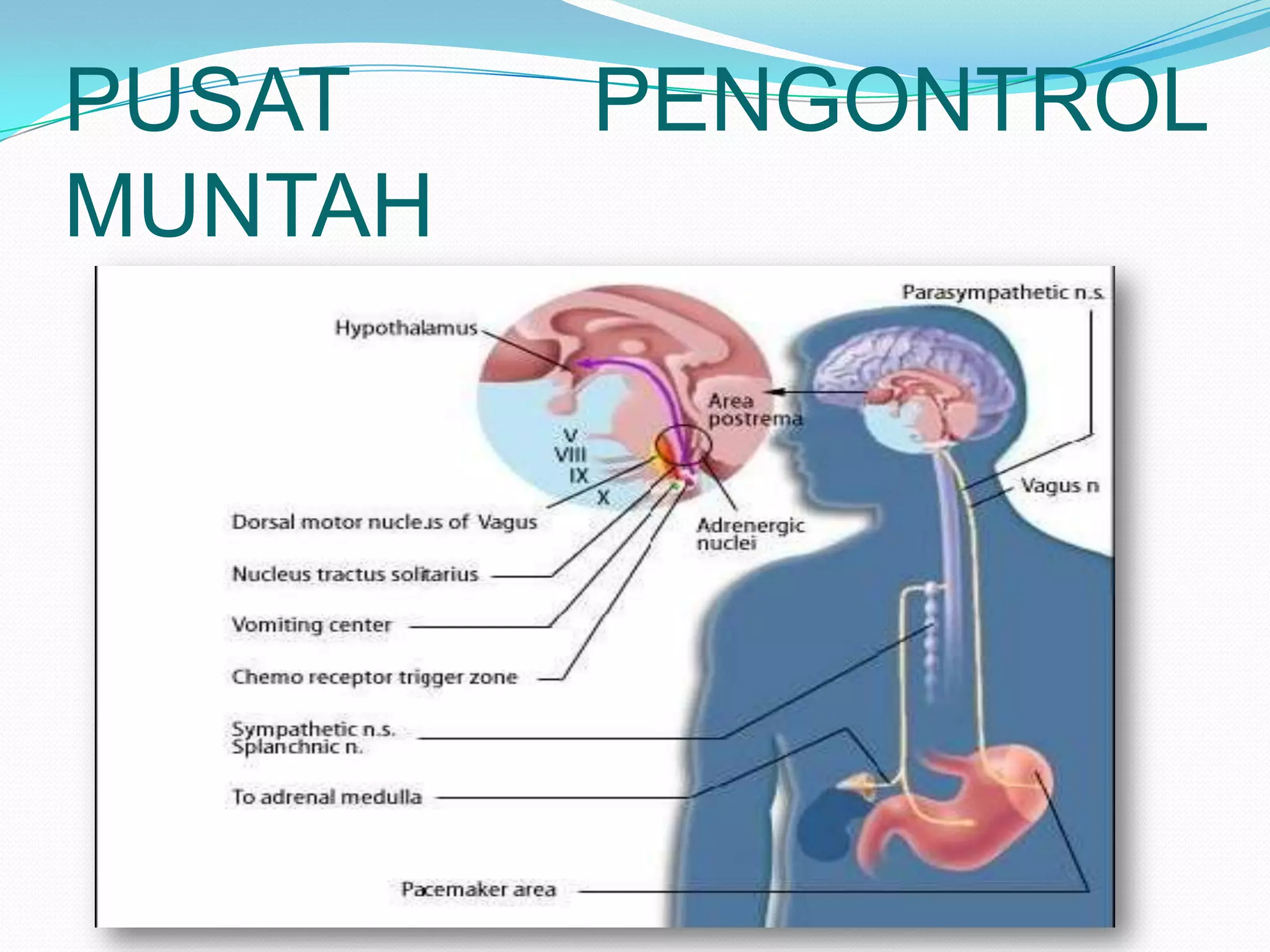 Muntah pada Anak | PPSX