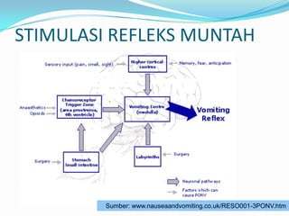 Muntah pada Anak | PPSX