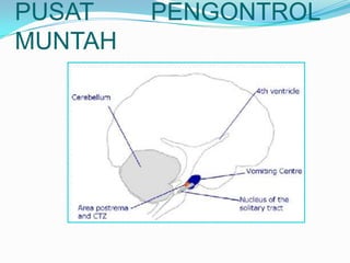 Muntah pada Anak | PPSX