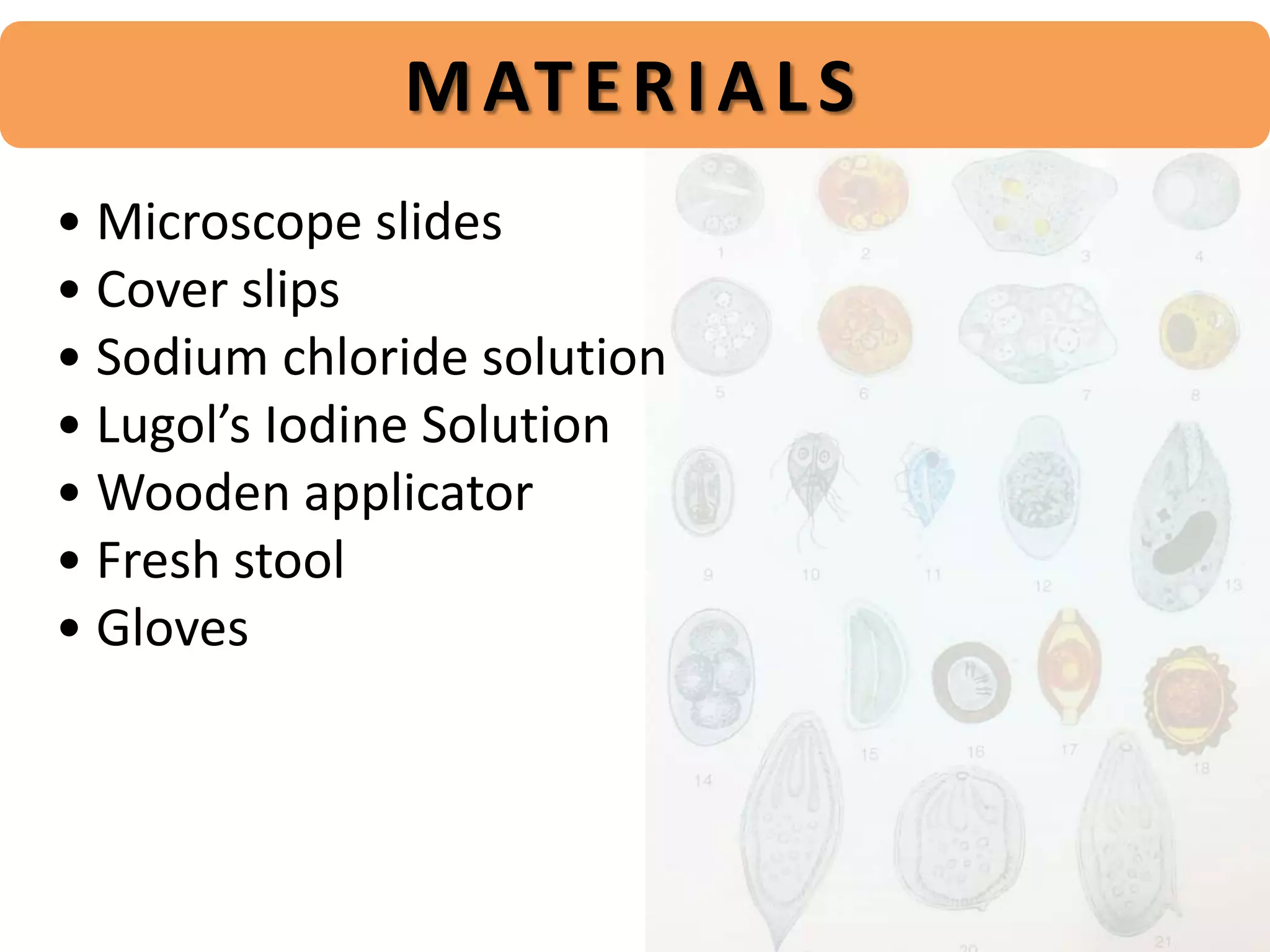 STOOL EXAMINATION | PPTX