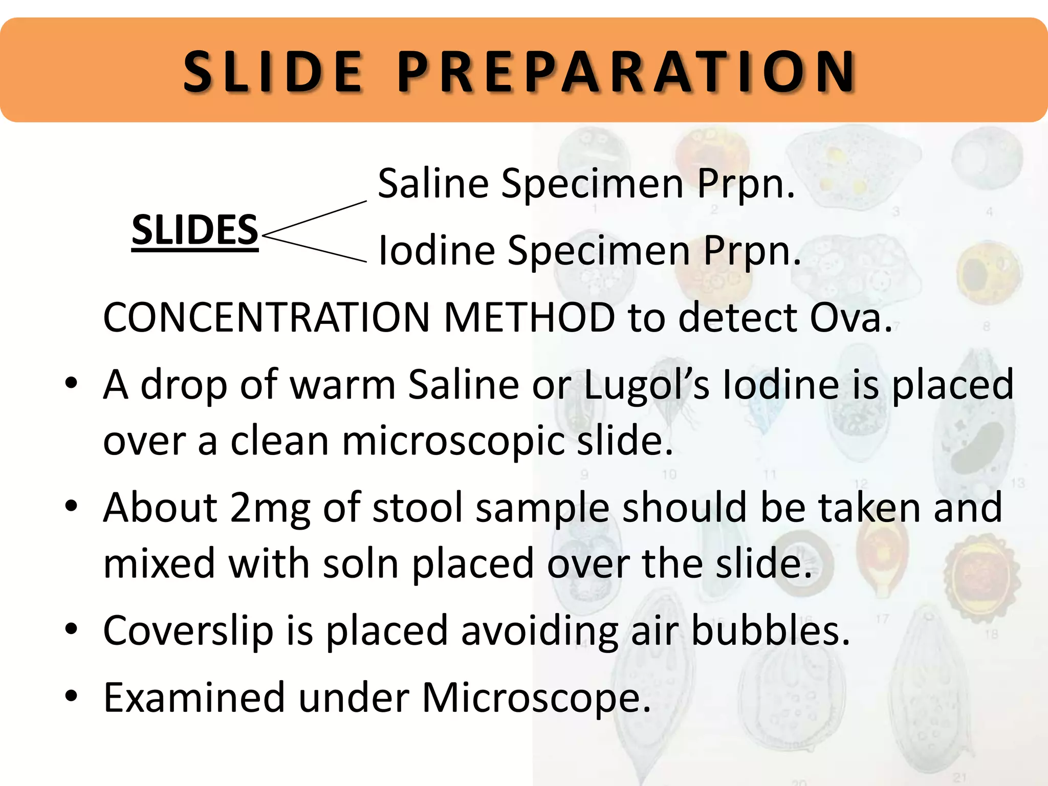 STOOL EXAMINATION | PPTX