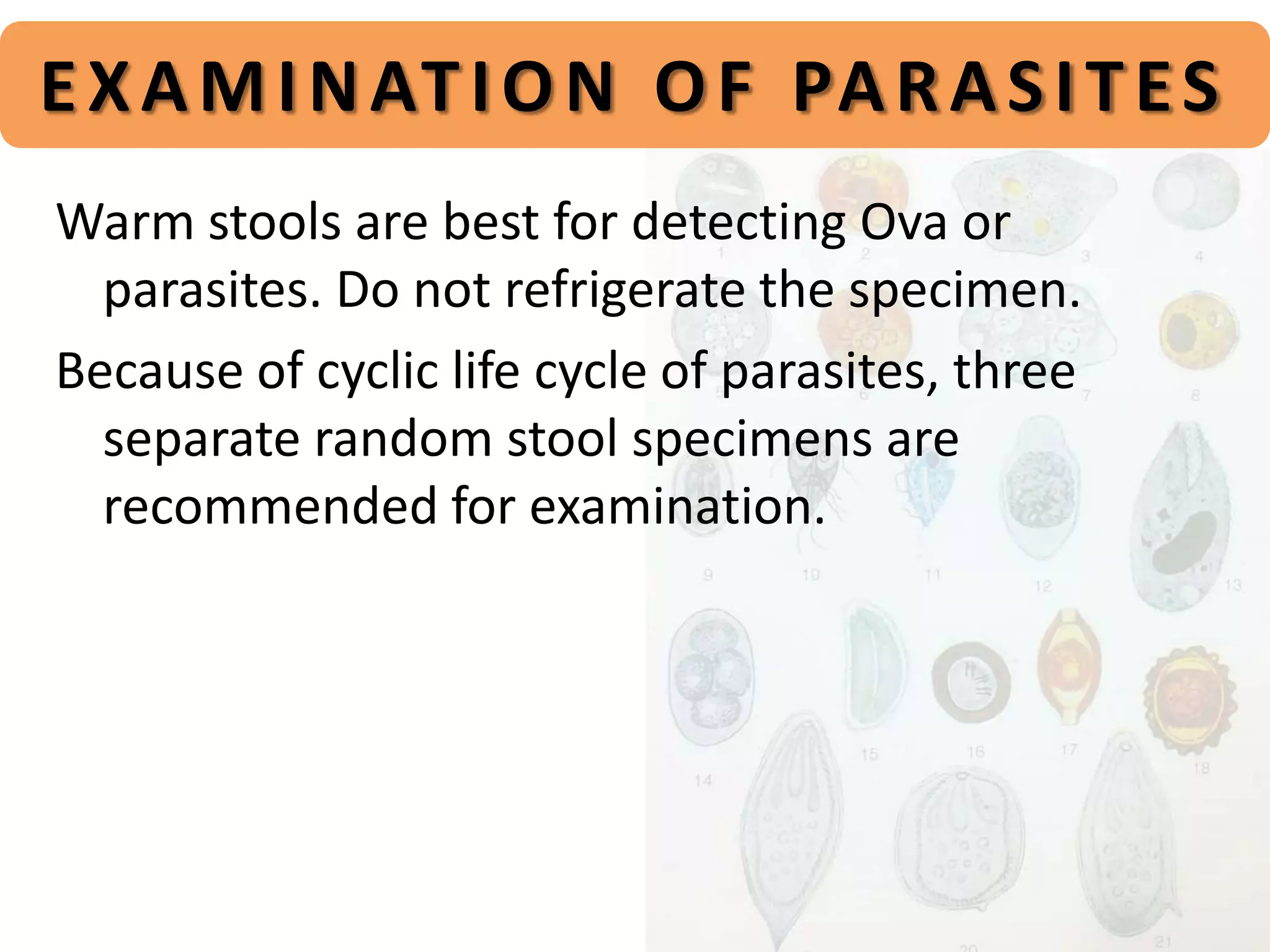 STOOL EXAMINATION | PPTX