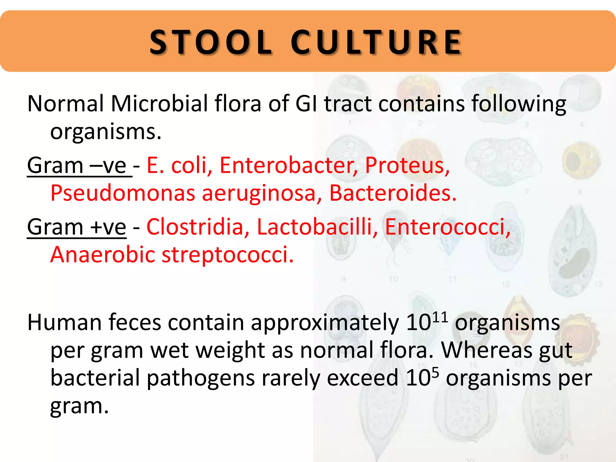 STOOL EXAMINATION | PPTX