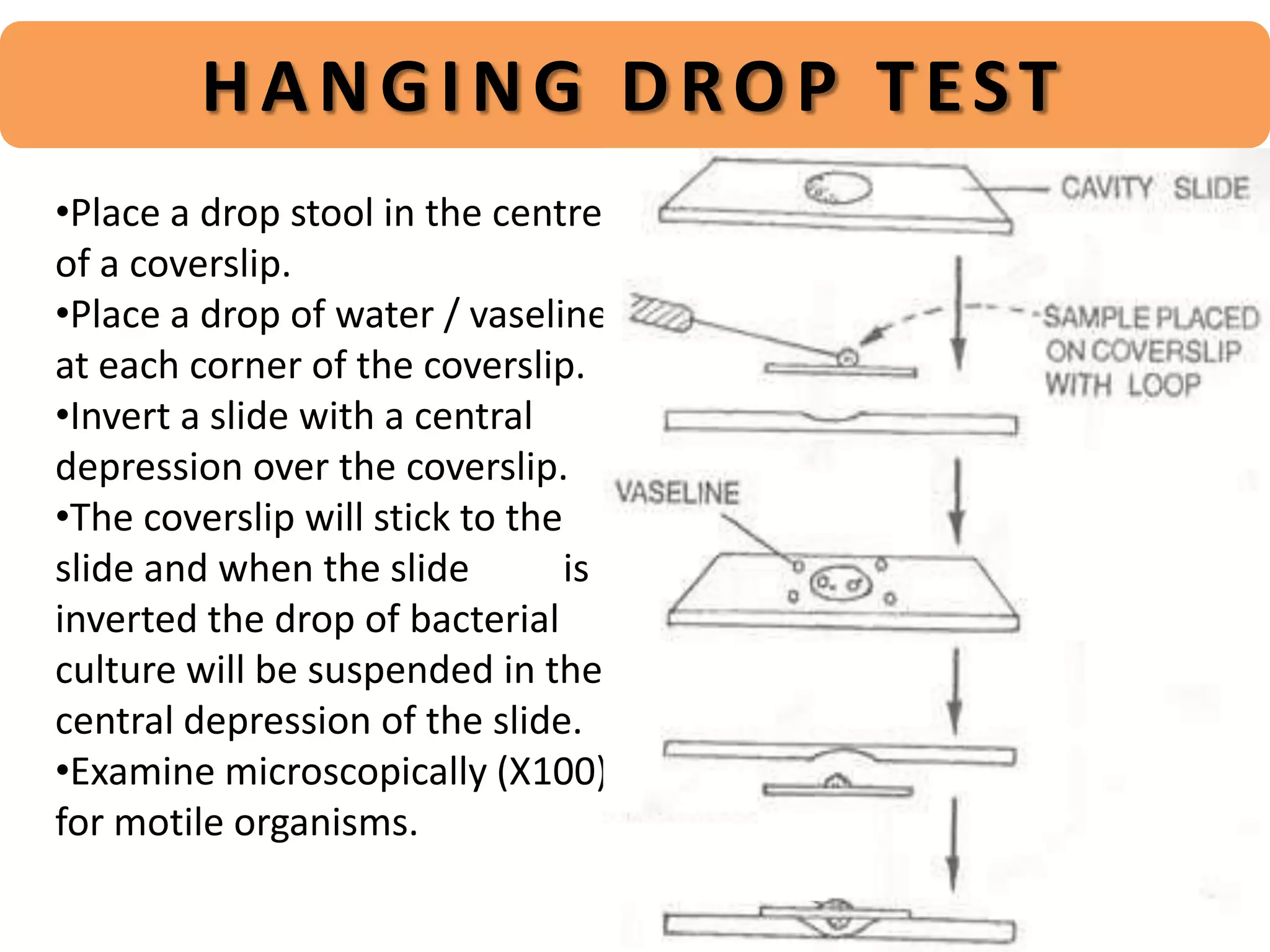 STOOL EXAMINATION | PPTX