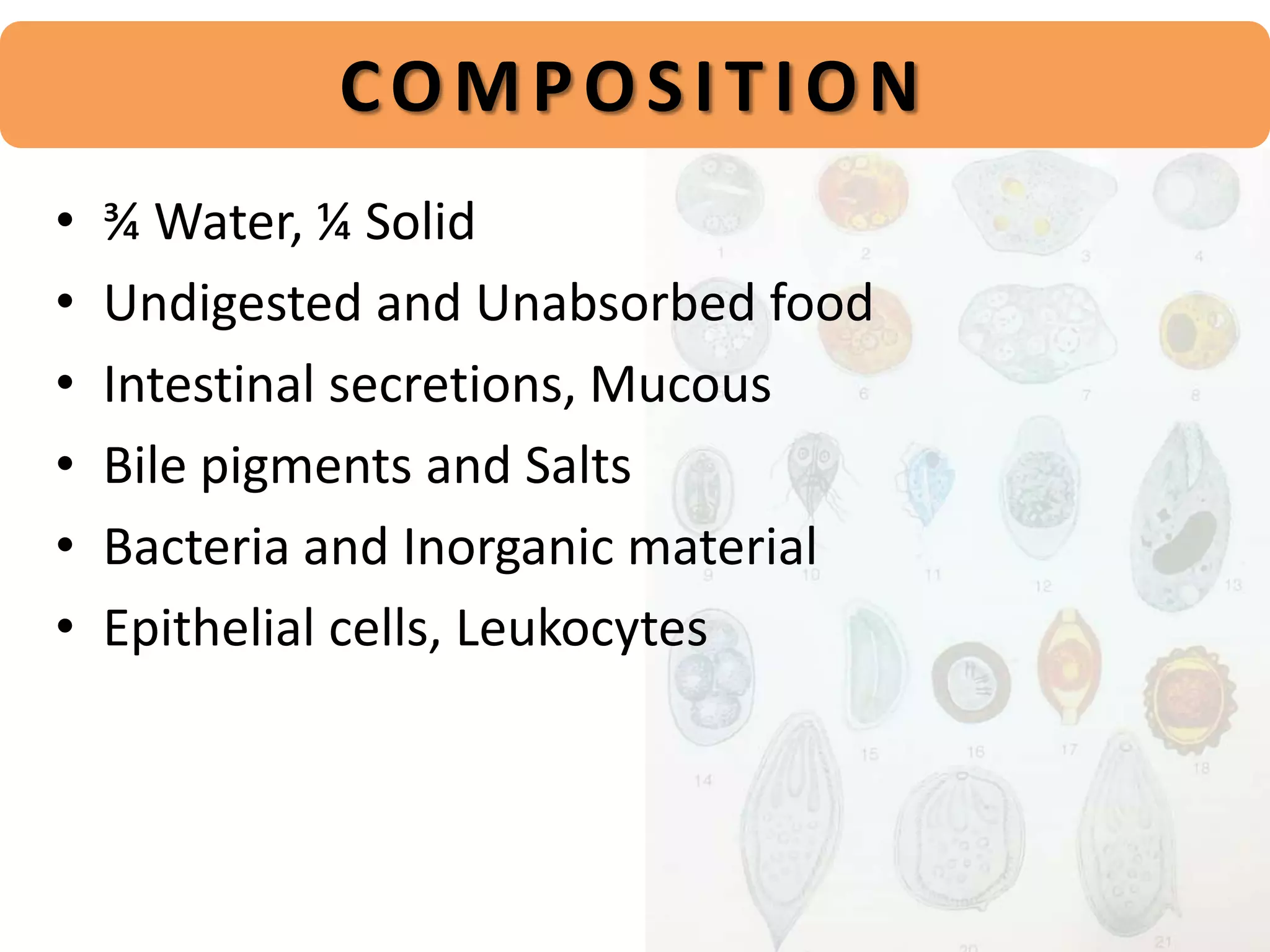 STOOL EXAMINATION | PPTX