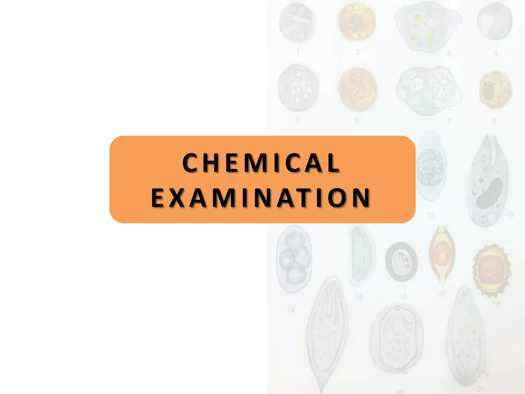 STOOL EXAMINATION | PPTX