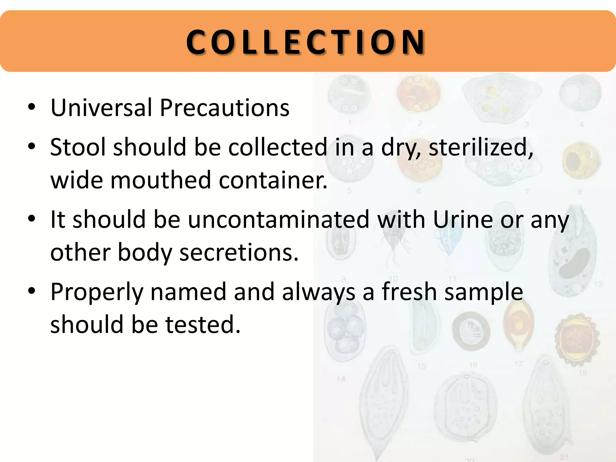 STOOL EXAMINATION | PPTX