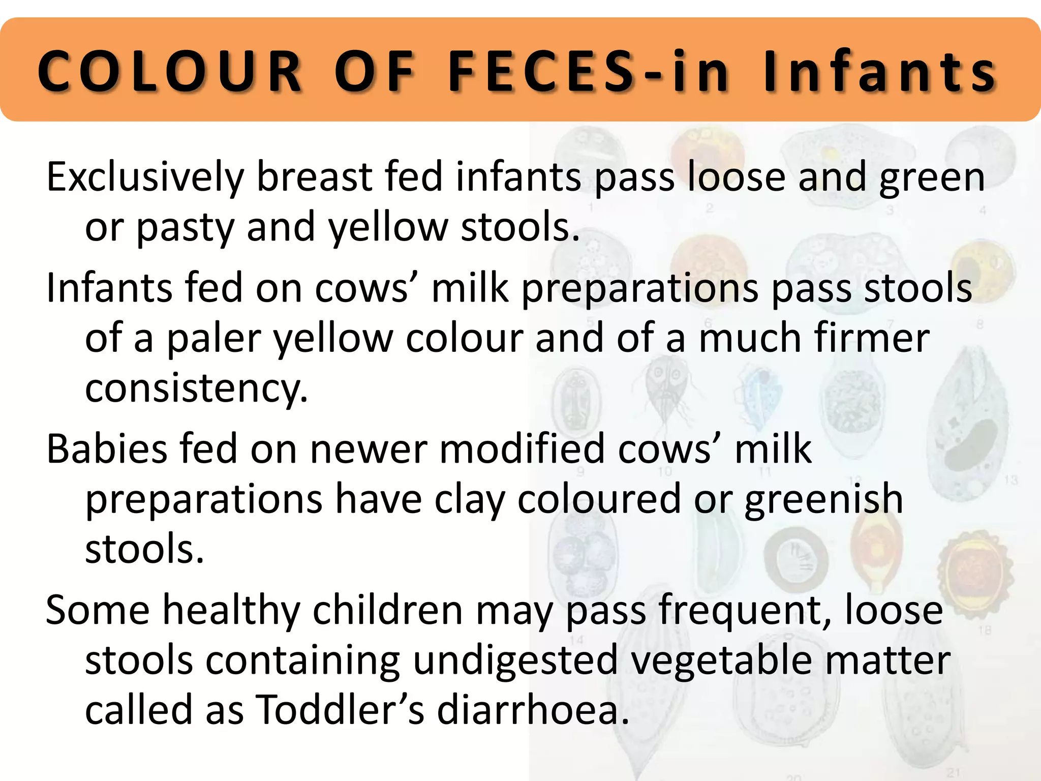 STOOL EXAMINATION | PPTX
