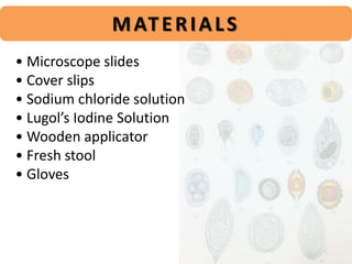 STOOL EXAMINATION | PPTX
