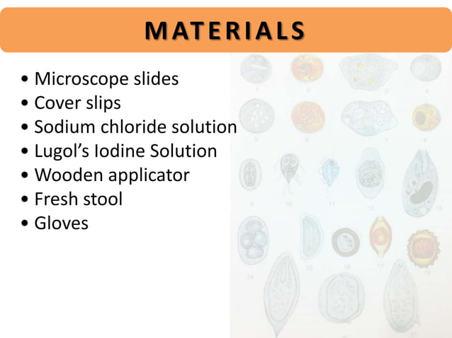 STOOL EXAMINATION | PPTX