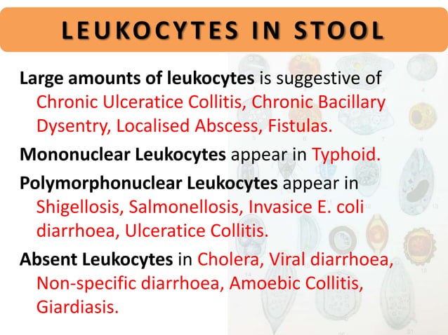STOOL EXAMINATION | PPTX