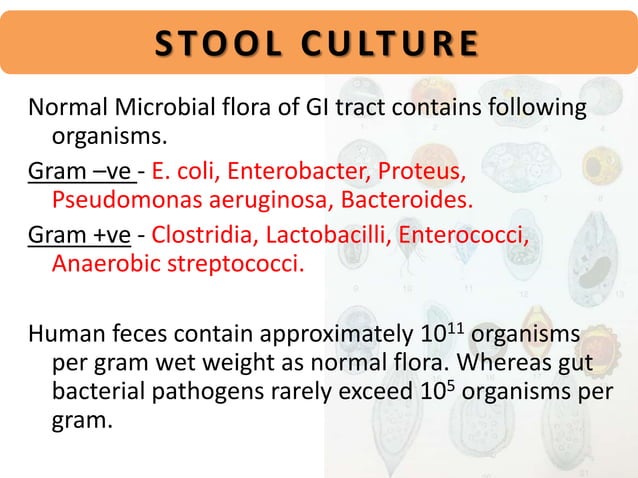 STOOL EXAMINATION | PPTX