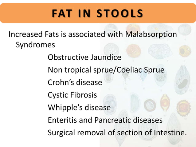 STOOL EXAMINATION | PPTX