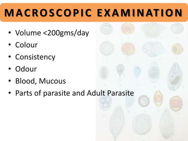 STOOL EXAMINATION | PPTX