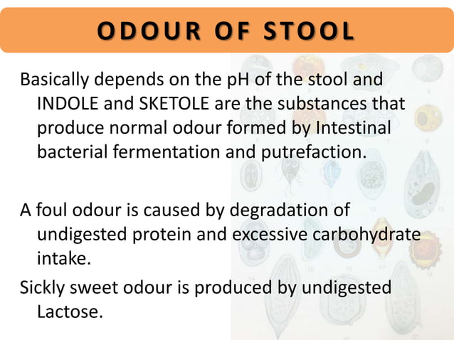 STOOL EXAMINATION | PPTX