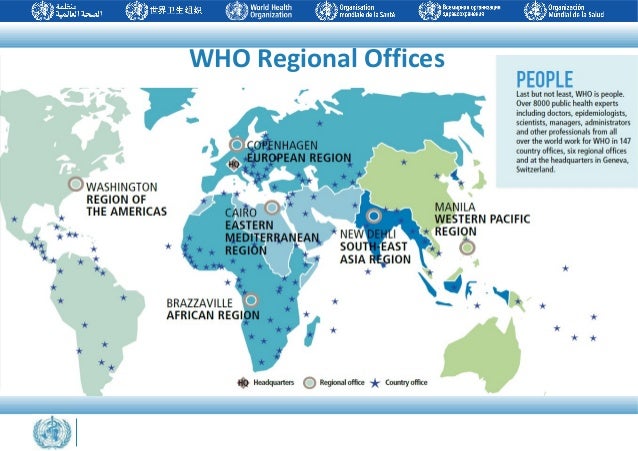 Next Step 2014 presentation by Dr. Timothy Armstrong from World Healt…