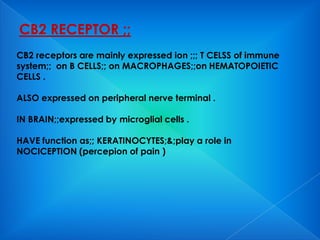 pharmacology of cannabinoid | PPTX