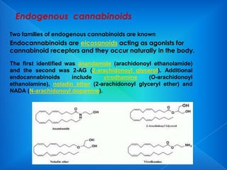 pharmacology of cannabinoid | PPTX