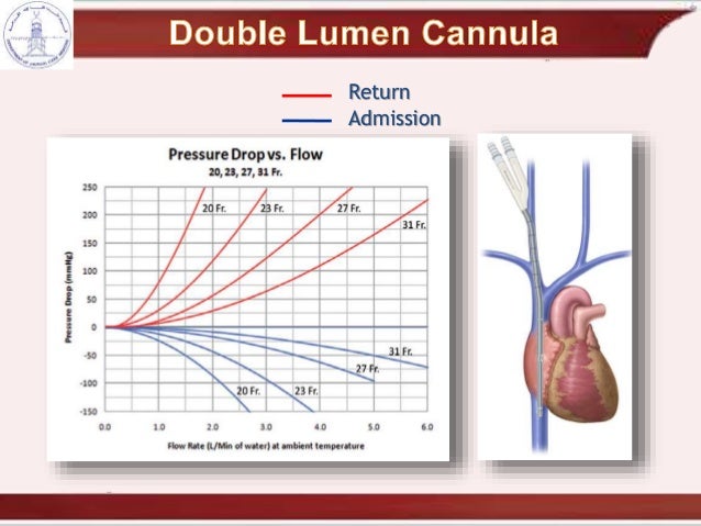cannulation and recirculation in vv ecmo