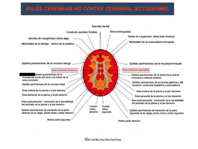 GNM Dr. hamer - nova medicina germânica - português