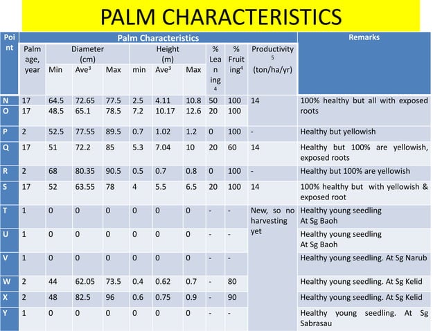 Dr. alexender sayok - flooding investigation | PPT