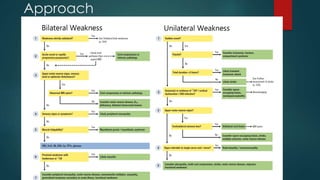 unilateral & bilateral limb weakness , stroke approach | PPTX