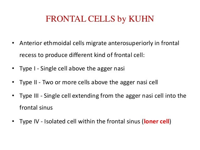 surgical approaches to frontal sinus ppt