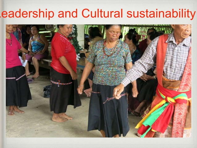 Indigenous leadership philosophy and cultural sustainability (Paul ...