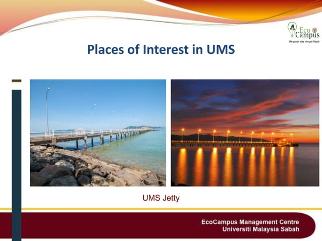 The role of UMS in promoting sustainability through research, teaching ...