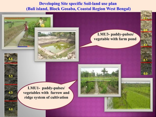 Land resource inventory of India for development of sustainable agricultural land use plans ...