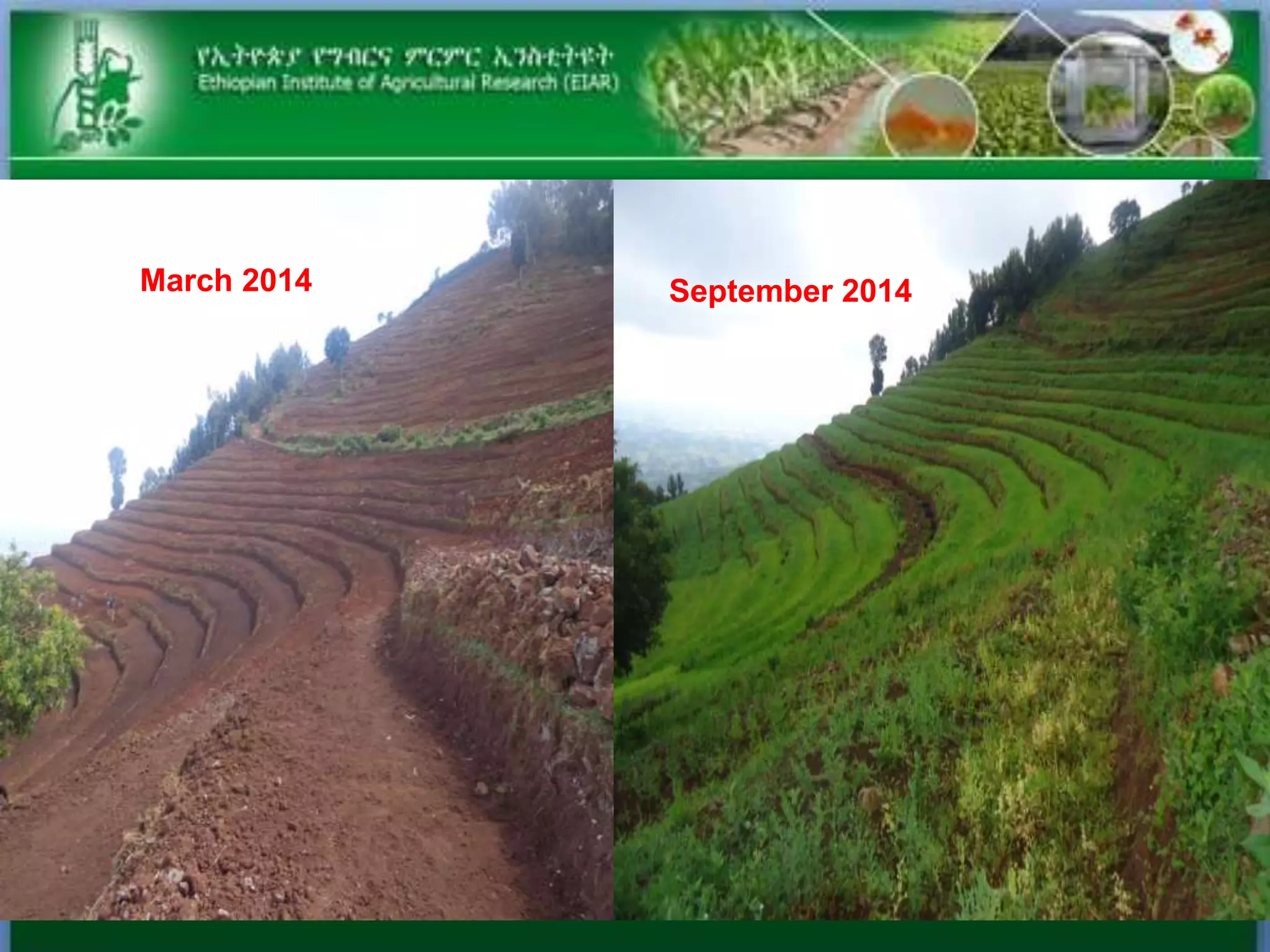 Research Focus and Capacity Building Plan of EIAR | PPTX