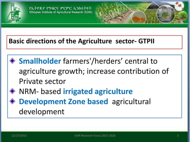 Research Focus and Capacity Building Plan of EIAR | PPTX | Agriculture ...