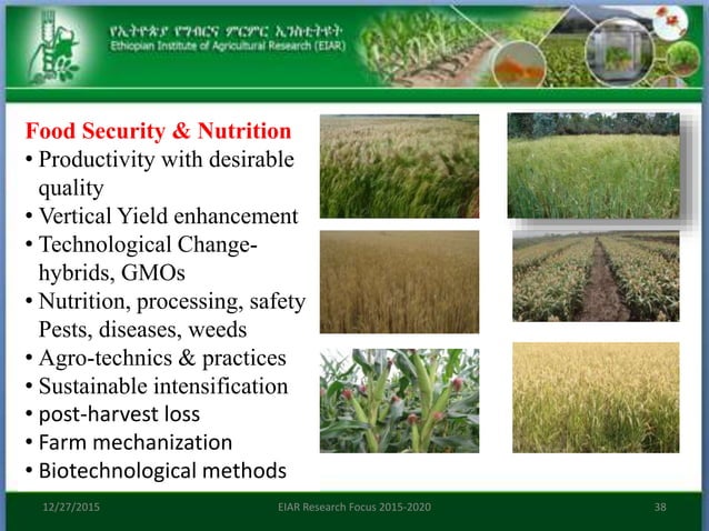 Research Focus and Capacity Building Plan of EIAR | PPTX | Agriculture ...