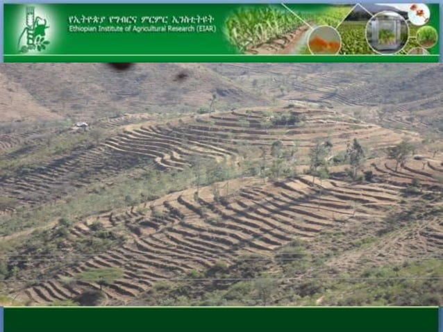 Research Focus and Capacity Building Plan of EIAR | PPTX | Agriculture ...