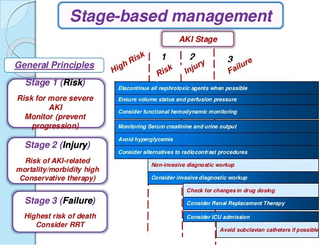 Dr. osama el shahat-aki-2016