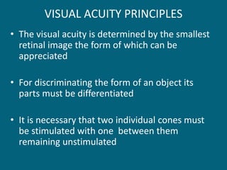 Visual Acuity Measurement, Contrast Sensitivity | PPTX | Eye and Vision ...