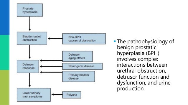 BPH- Pathology & Investigations