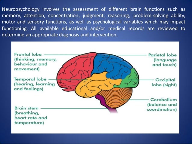 Dr.Kristjan Olafsson-Leading Neuro Psychologist Of Florida