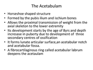Dr. kamal kant applied anatomy of hip | PPT